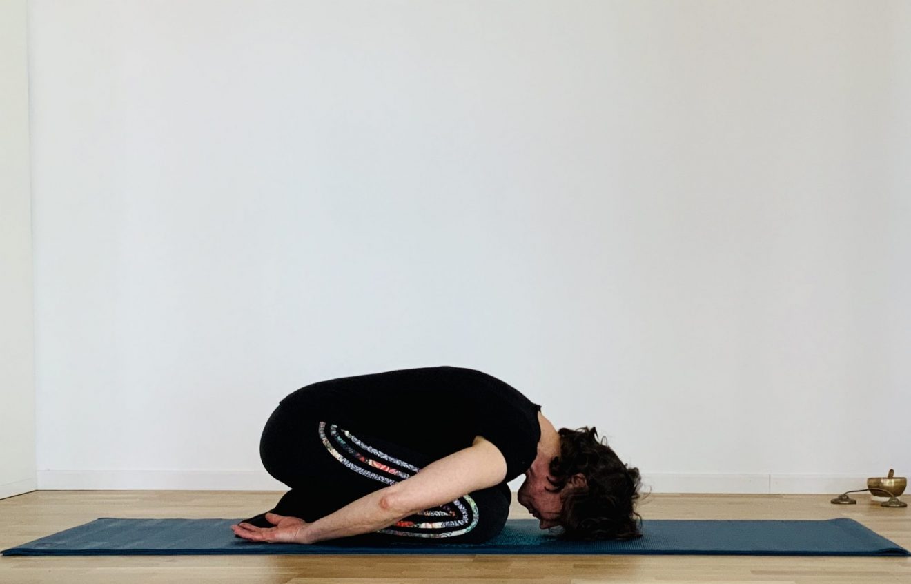 59A71C0D-C117-421F-B254-F480F2BE8894 | bhargo* Kunst & Yoga